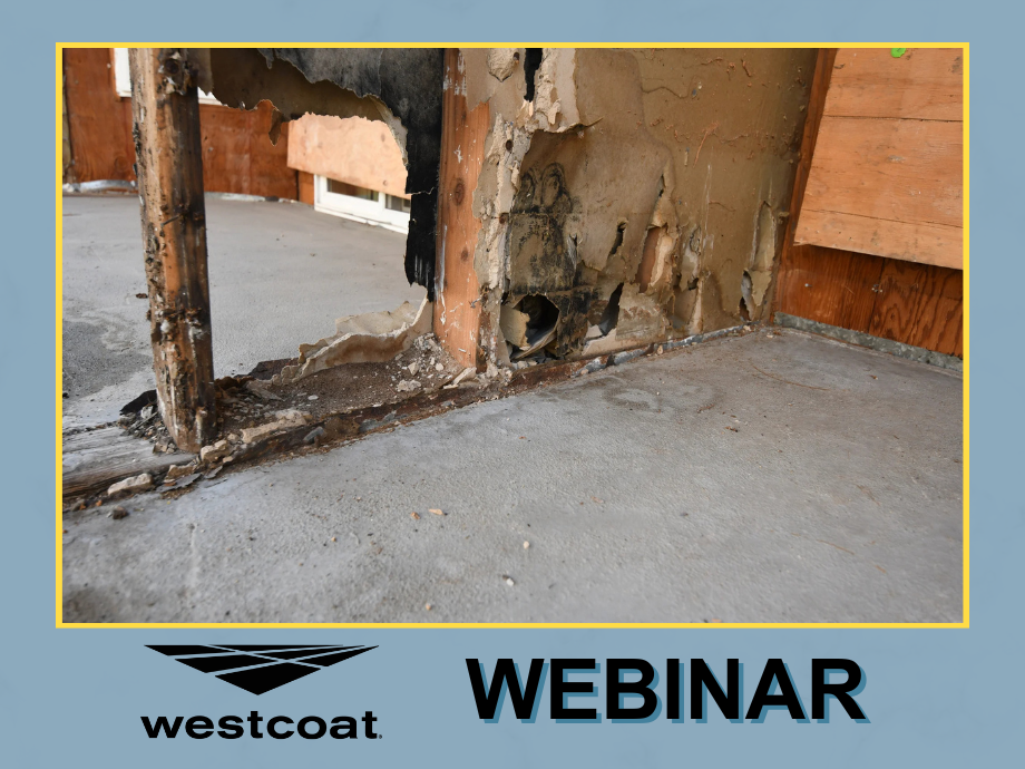 Function & Form in Waterproof Decking - Westcoat
